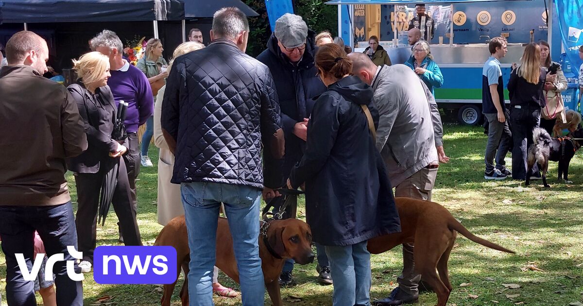Prins Laurent brengt verrassingsbezoek aan groot dierenevent in Eeklo | VRT NWS: nieuws