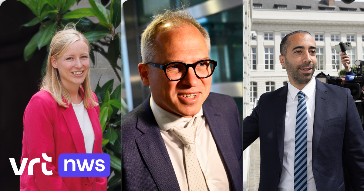 Flemish coalition talks: parties to hold consultative talks with to civil society players during ...