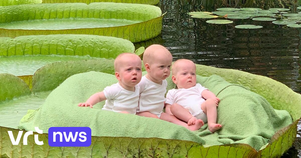 Plantentuin Meise verwelkomt eeneiige drieling voor fotoshoot op ...