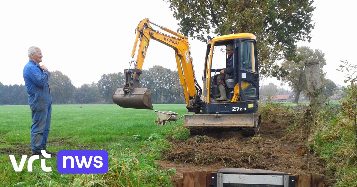 Meer water opvangen in de Dommel en wachtbekken in Pelt: landschap ...