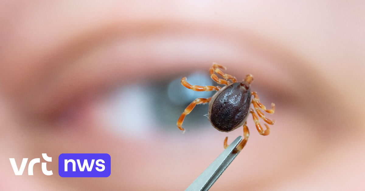 8 mm lang en bron van Krim-Congo-hemorragische koorts: bezorgdheid over ...