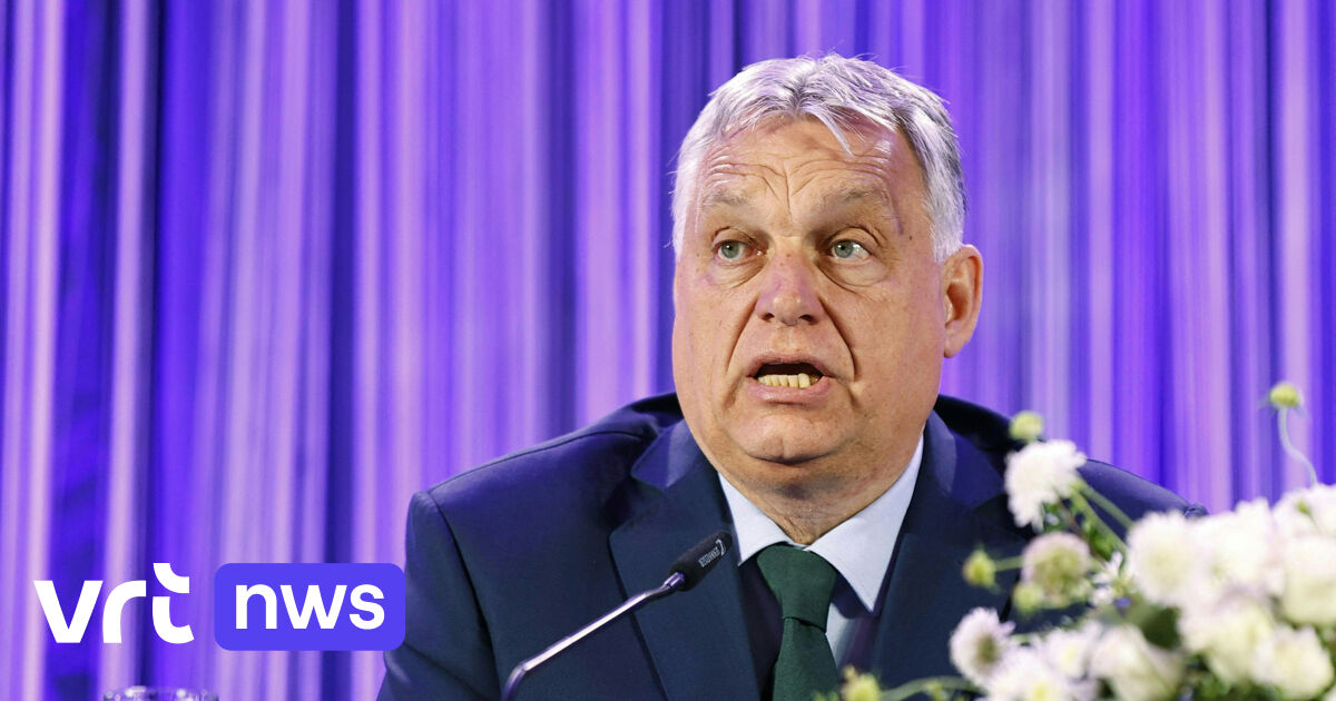 Hongaarse premier Orbán wil nieuwe rechtse fractie vormen in Europees ...