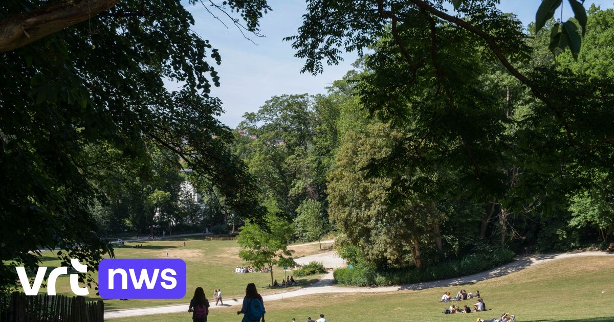 Na dodelijk ongeval door noodweer: waarom was park in Ukkel niet ...