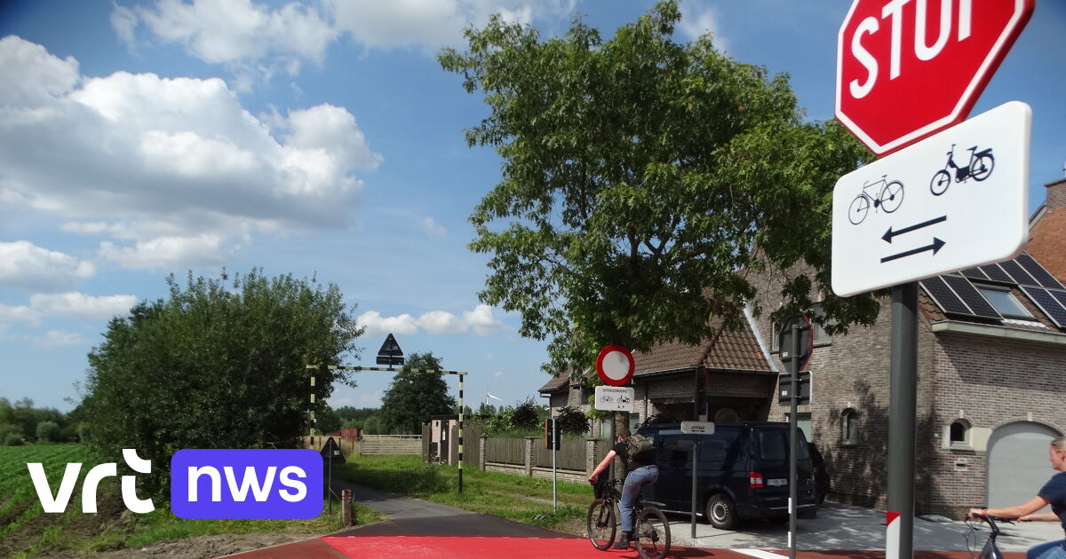 Sint-Gillis-Waas maakt kruispunten met fietssnelweg veiliger : "Door het vele groen zien ...