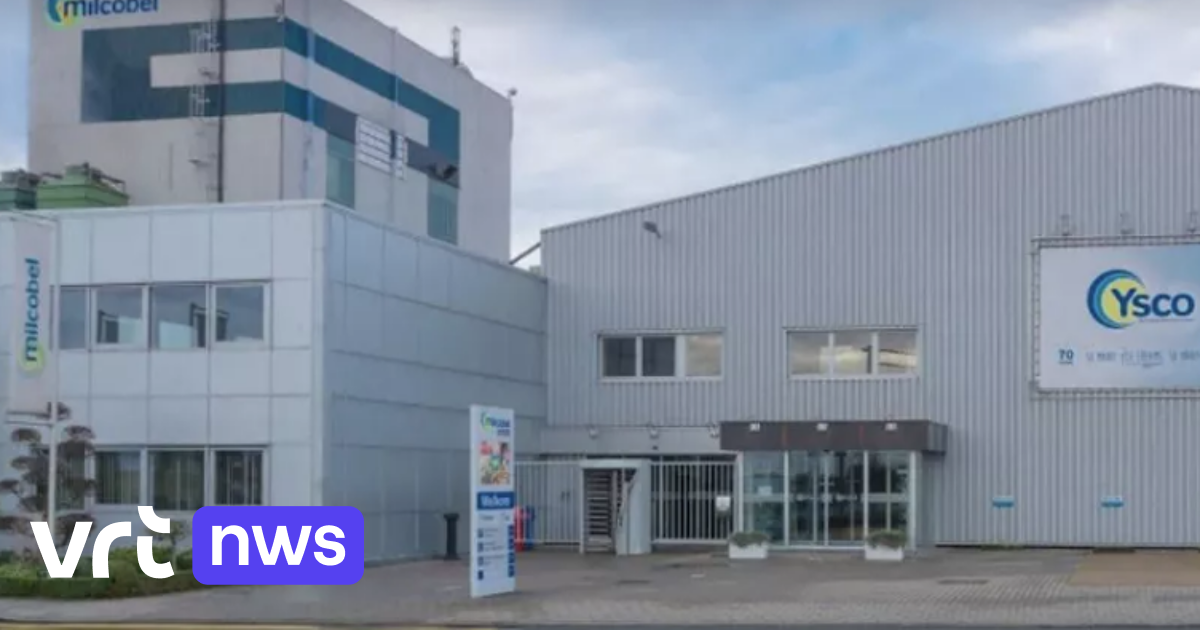Milcobel wil ijsjesfabriek Ysco in Langemark verkopen | VRT NWS: nieuws