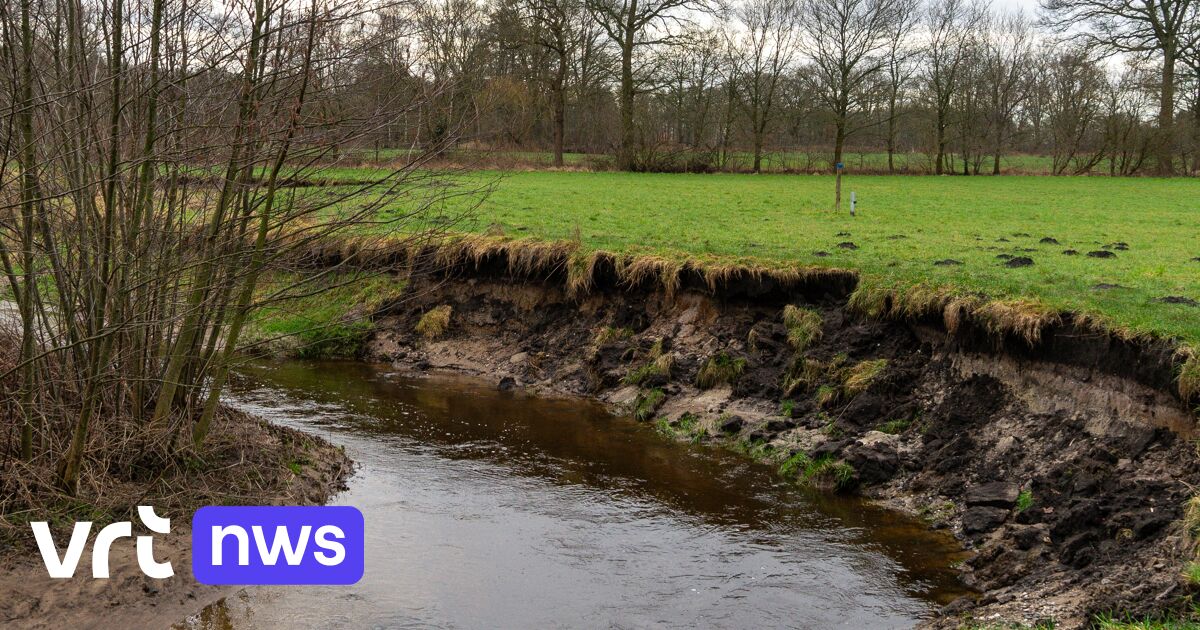 Waterkwaliteit Dommel in Pelt verbetert traag: "E. coli-verontreiniging ...