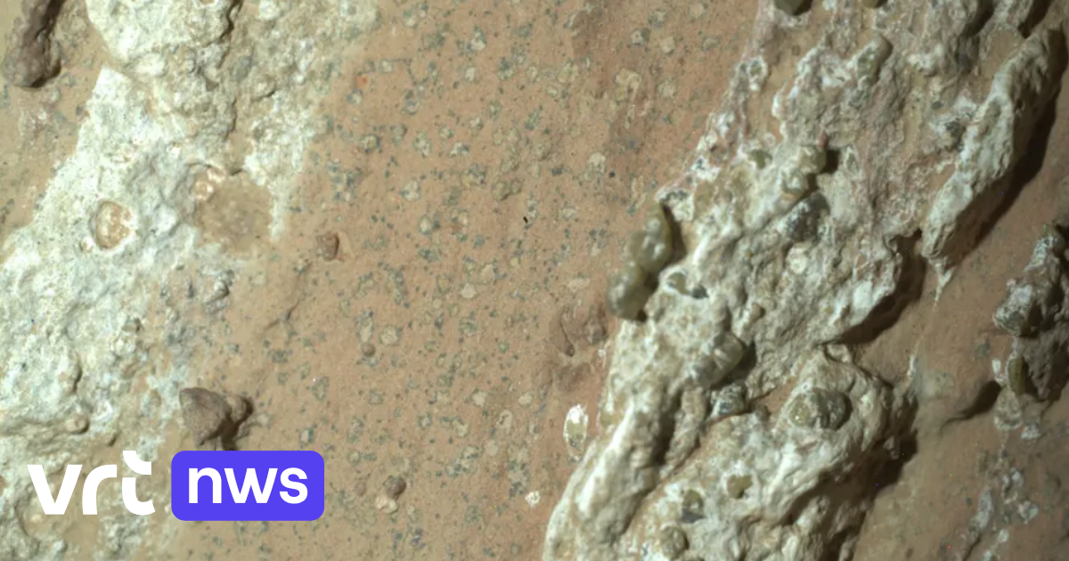 NASA vindt mogelijke tekenen van microbieel leven op Mars (maar heeft ...