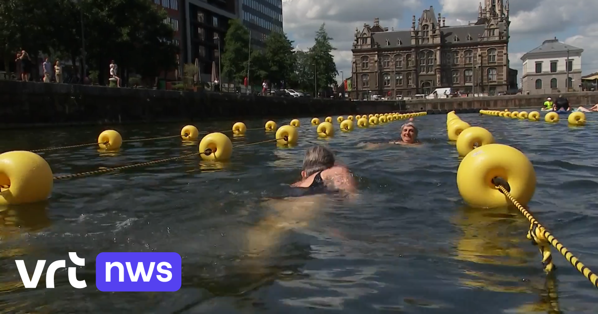 Zwemmen in de schaduw van het MAS in het Bonapartedok in Antwerpen ...
