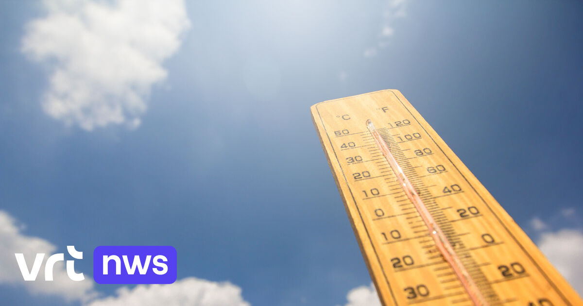 Ozone and heatwave alerts activated as temperatures rise | VRT NWS: news