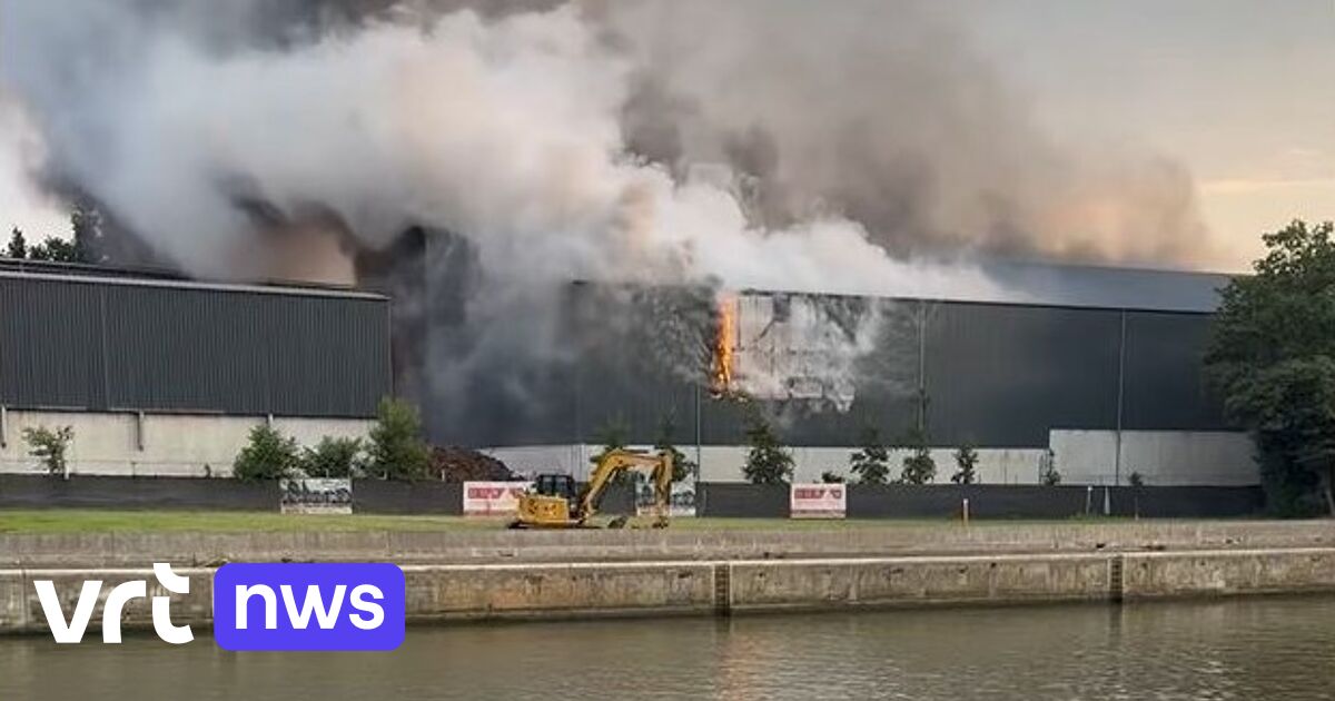 Brand in Gentse haven na 4 dagen eindelijk onder controle: "Vandaag ...