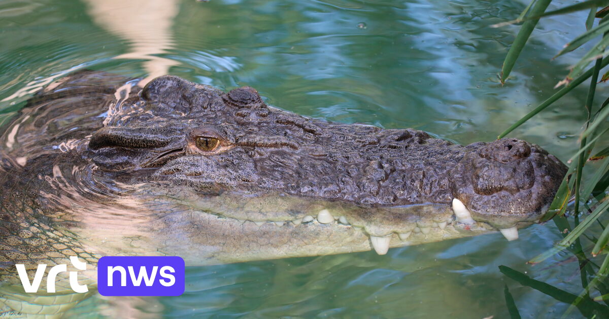 Yeska xxx omg, you can get lucky gents.VIPs continue