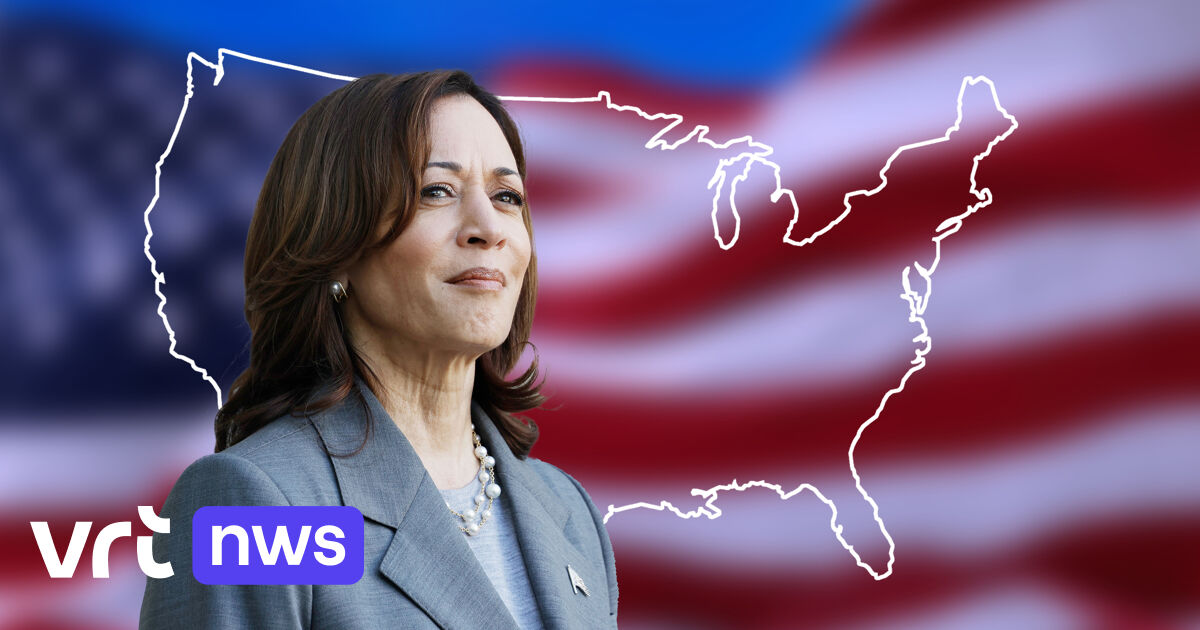 Wat kunnen we verwachten van eventuele eerste ambtstermijn van Kamala ...