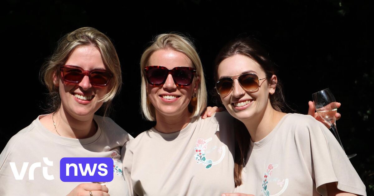 Voor het eerst Babylounge op Rijvers Festival in Lievegem ...