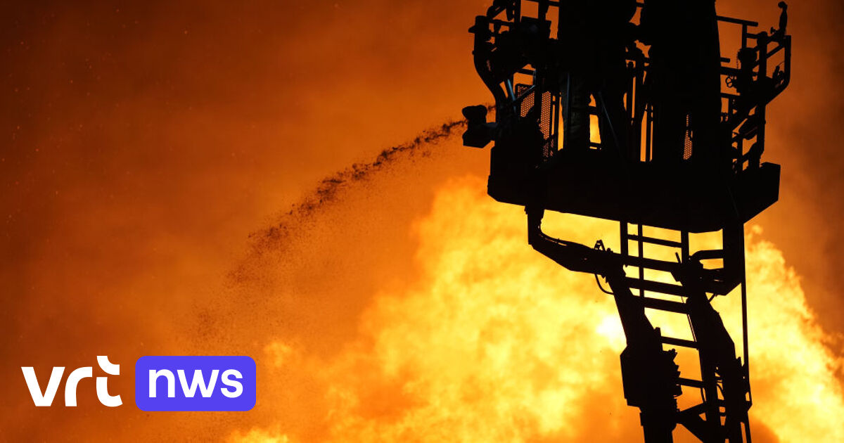 Dikke rook hangt boven Izmir: bosbranden in Turkije bereiken woonwijken ...