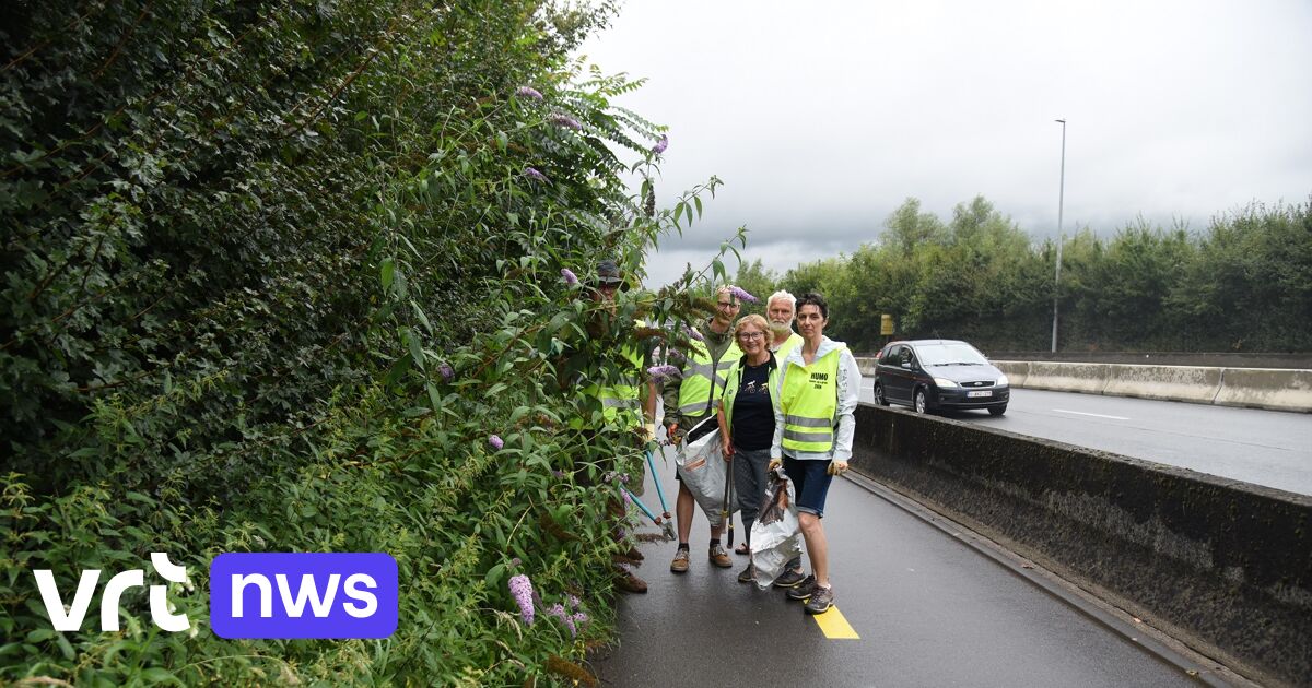 Fietsersbond Dendermonde maakt zelf fietspad veiliger, omdat snoeibeurt op zich laat wachten ...