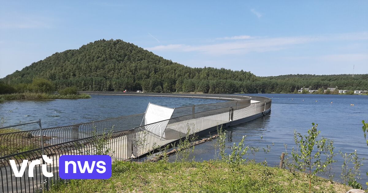 Blauwalgen doen 4 Limburgse zwemlocaties sluiten, Heidestrand in ...