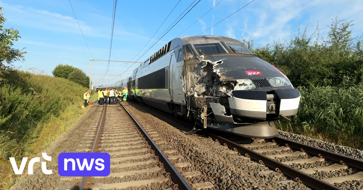 Lange rijen en veel vertraging in Brussel-Zuid na ongeval tussen TGV en ...