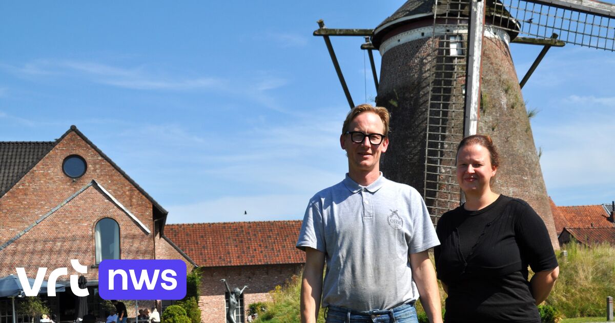 Grote Napoleon van Hamme gaat weer draaien: windmolen krijgt grondige ...