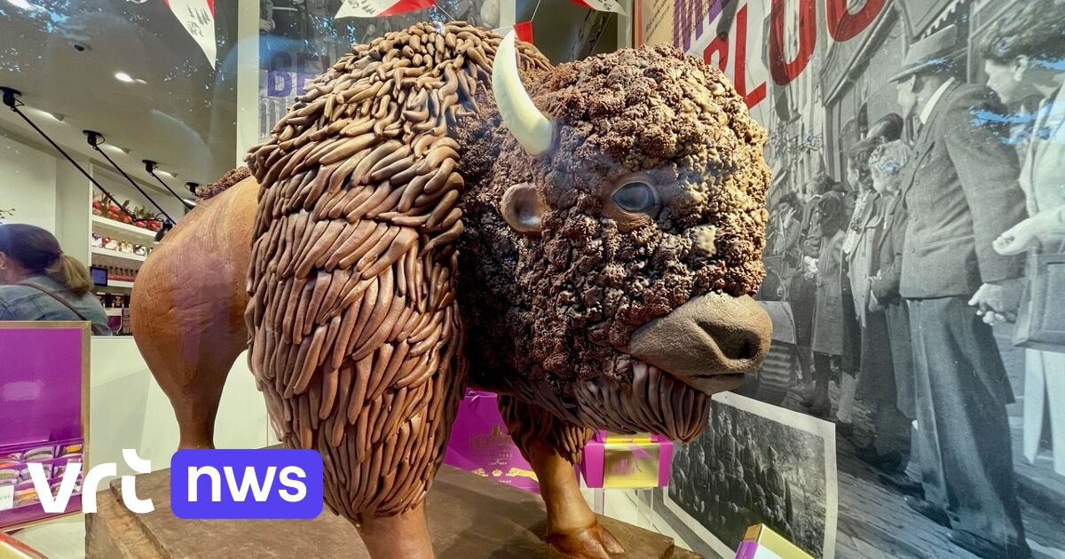 100 kilo chocolate bison marks liberation of Bruges | VRT NWS: news