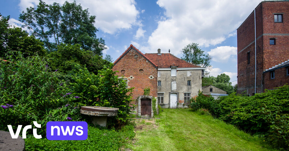 Iconische watermolen Boortmeerbeek uitzonderlijk open: "We gaan deze ...