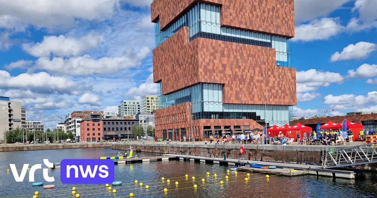 Zalige Zwemdagen aan het MAS lokken 5.000 zwemmers: "Antwerpen heeft ...