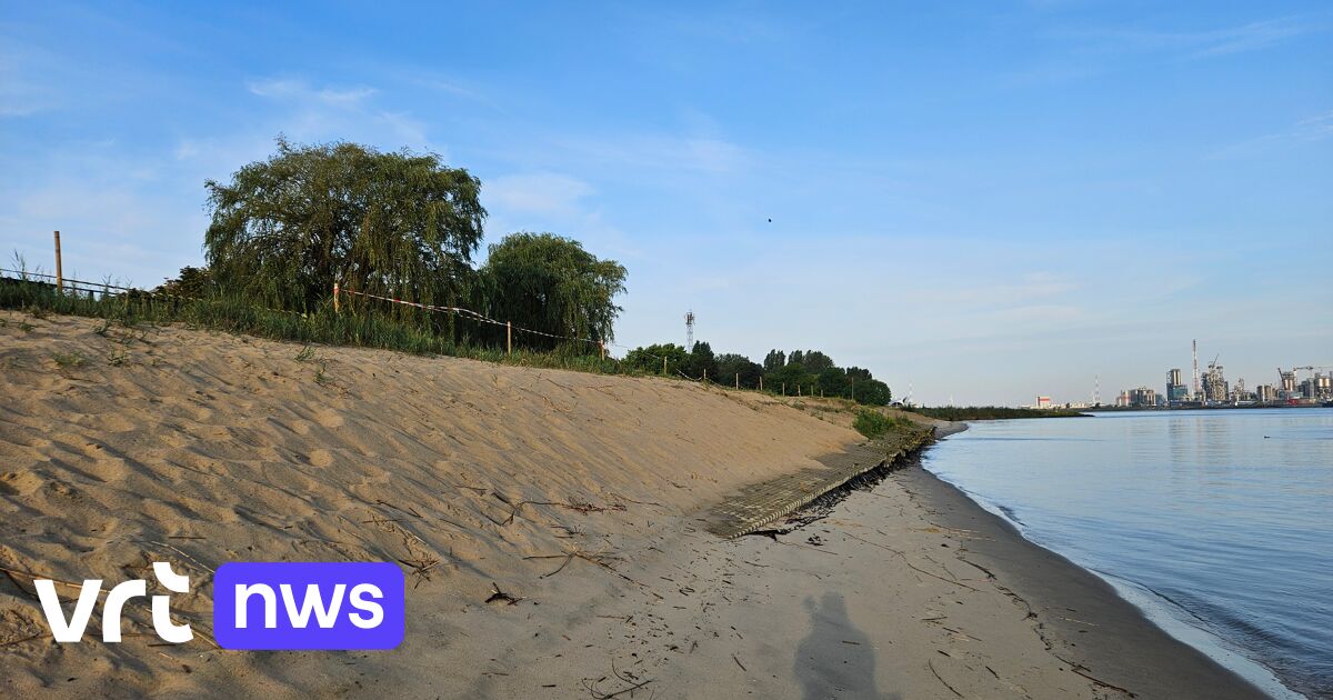 Sint-Annastrand in Antwerpen krijgt nieuw zand uit Nederlandse Breskens ...