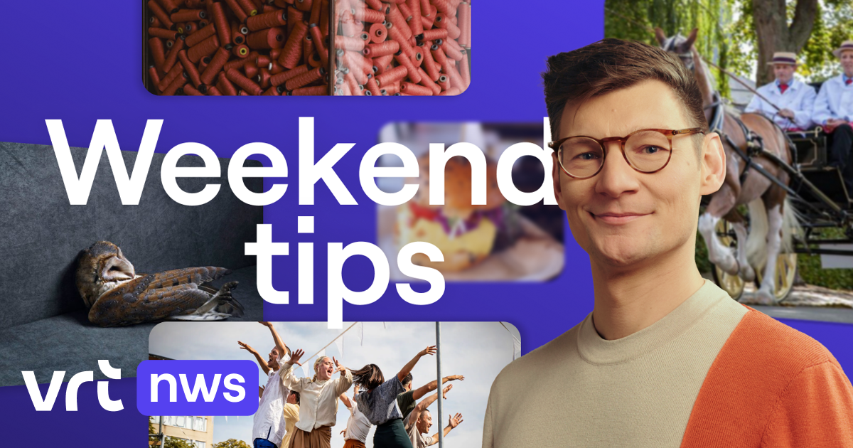 Joris Vergeyle gidst je door het weekend, van circus in Turnhout tot Stephan Vanfleteren in ...