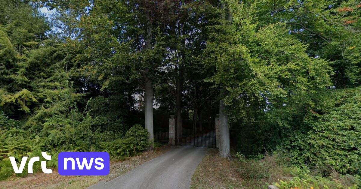 Peerdsbos als 1 groot natuurpark: Schoten vraagt minister Demir om ...