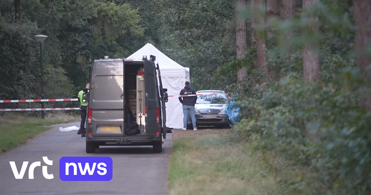 Ook parket Limburg start moordonderzoek naar dood van man uit Maaseik, huiszoeking bij parenclub ...