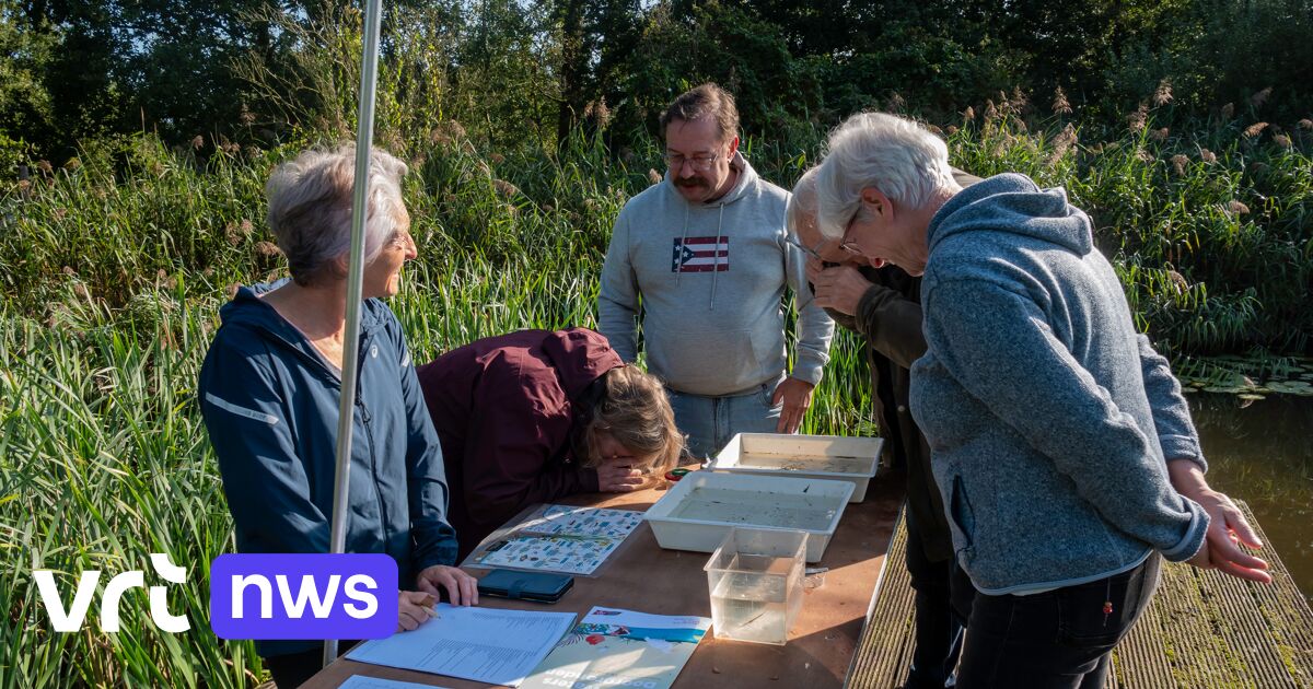 Vrijwilligers onderzoeken waterkwaliteit in en rond Dommel in Pelt ...