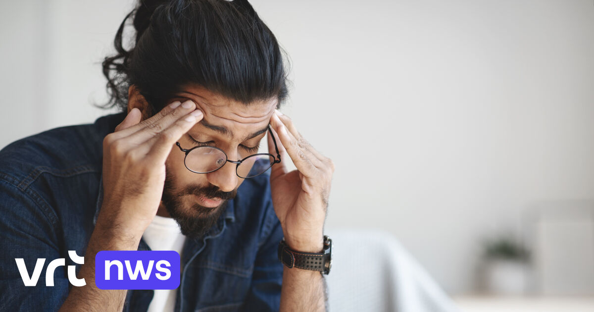 Toxicoloog ontkracht hardnekkige misverstanden over katers: "Nee, je ...