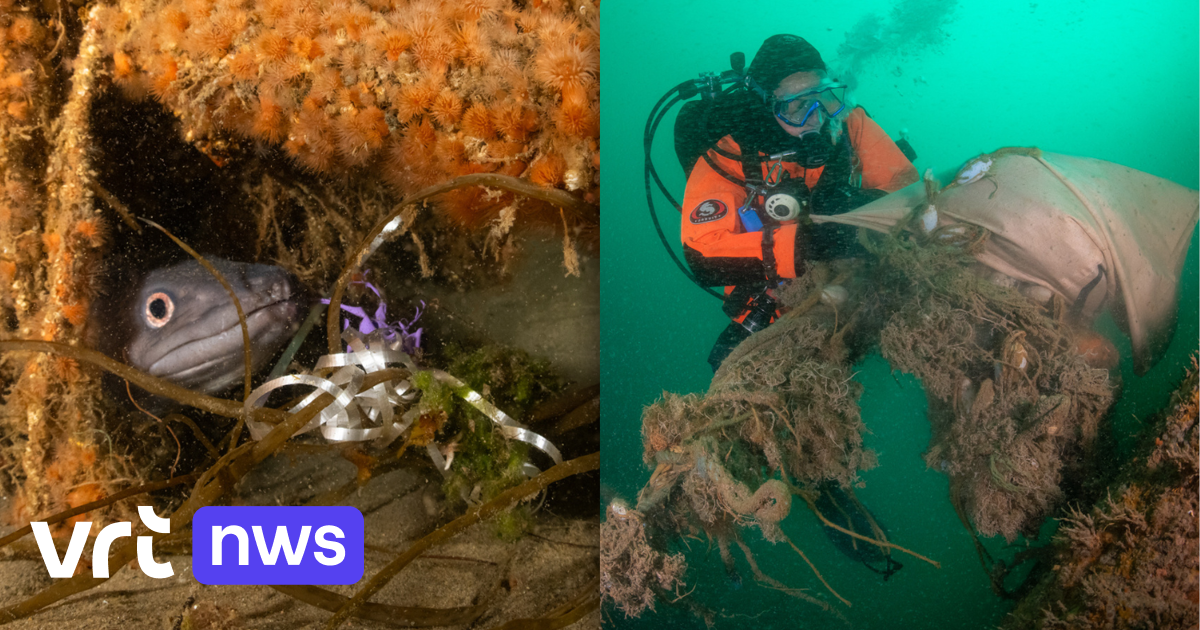 Vrijwillige duikers halen 6,5 ton netten en afval uit wrakken in de ...