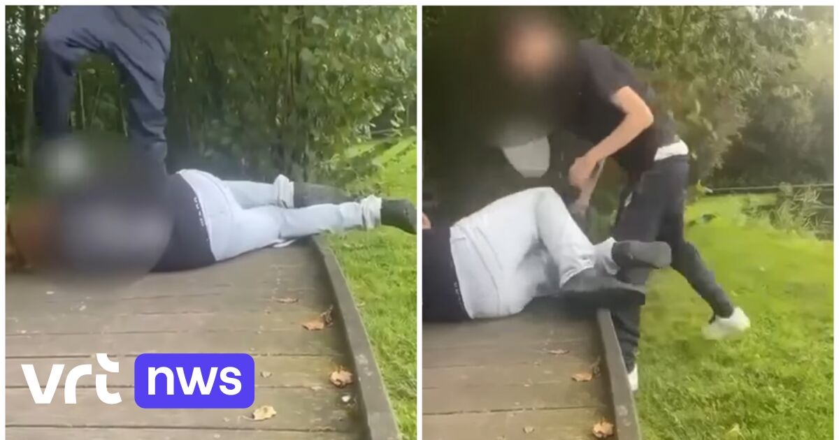 Politie onderzoekt vechtpartij aan stadspark in Poperinge | VRT NWS: nieuws