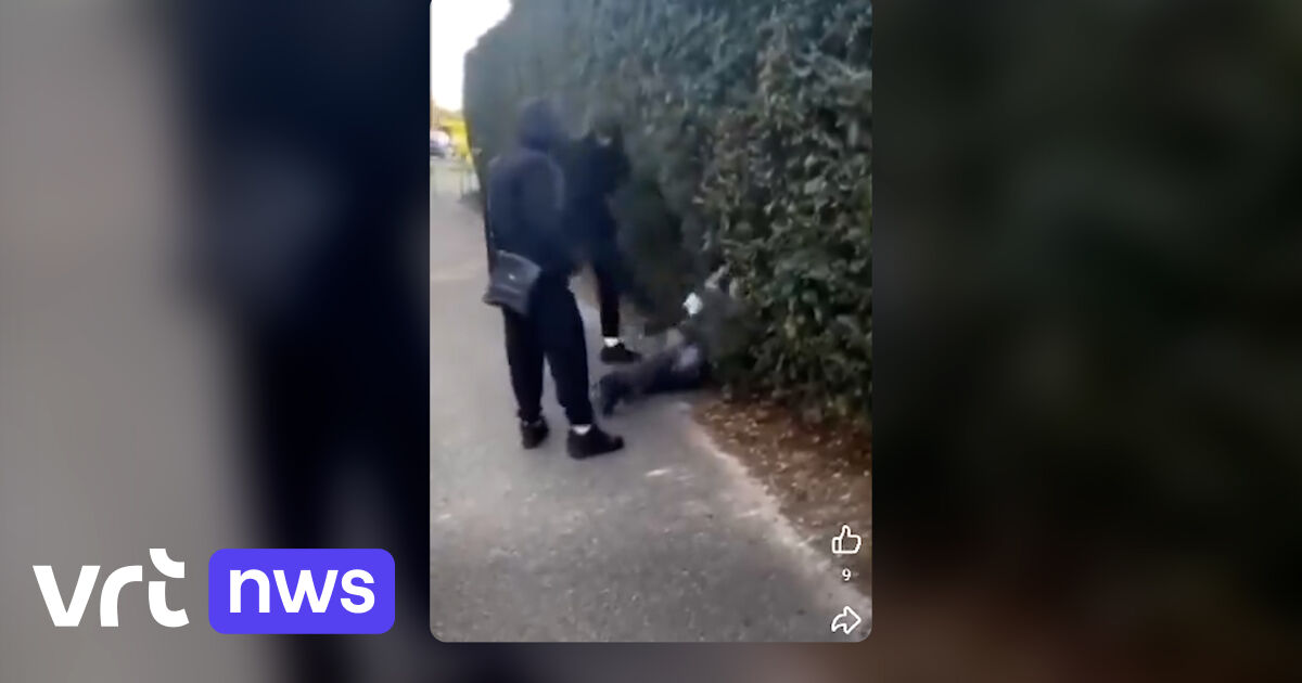 Tweede verdachte voor jeugdrechter verschenen na geweld tegen tiener in Herk-de-Stad: "Onder ...