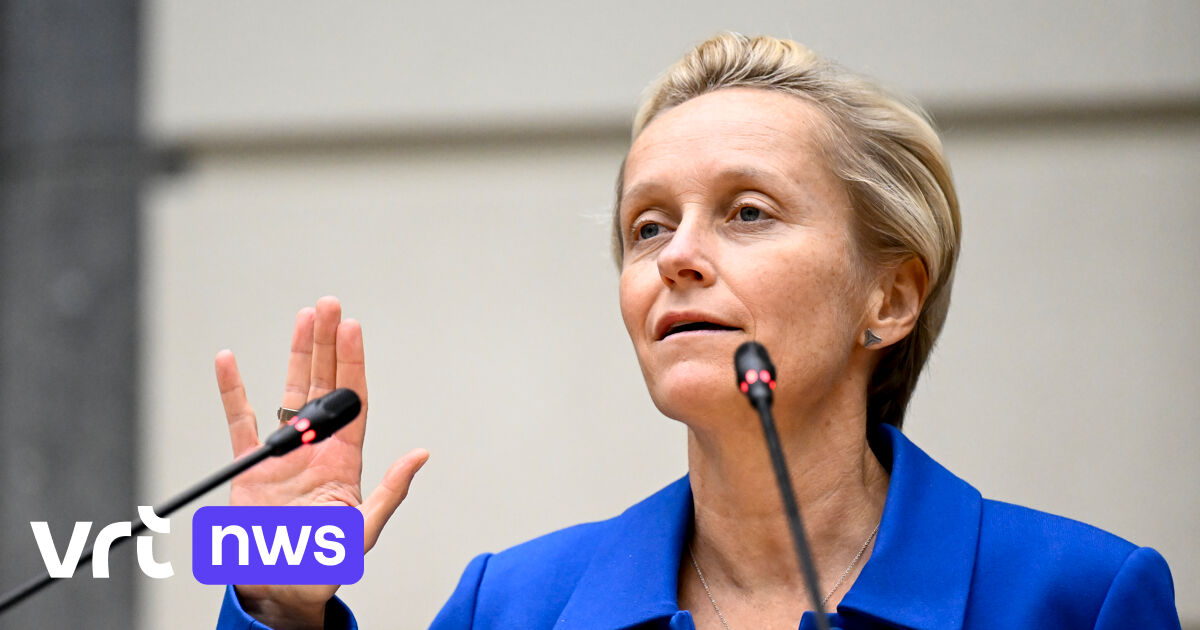 Vlaams minister De Ridder wil IJzeren Rijn, spoorverbinding die ook door Limburg loopt, nieuw ...