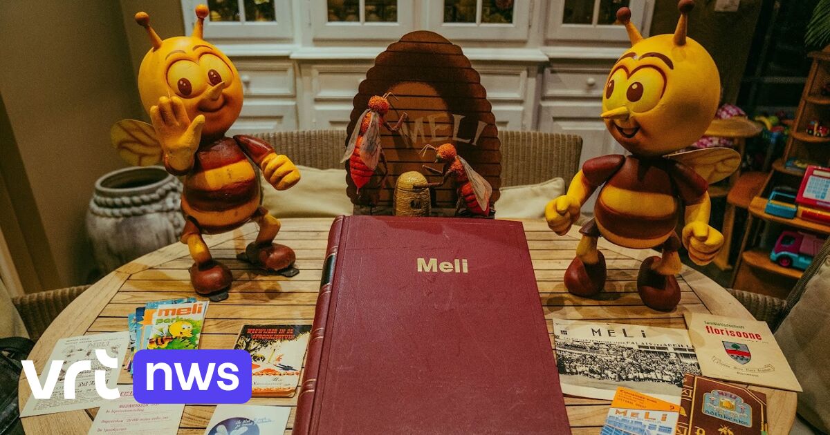 25 jaar na sluiting Meli-Park: Fabien uit Waregem heeft indrukwekkende ...