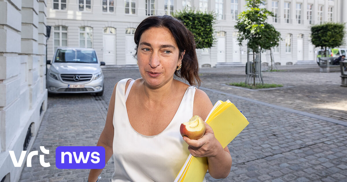 Zuhal Demir (N-VA) wil stoppen als Vlaams minister van Onderwijs als ze ...