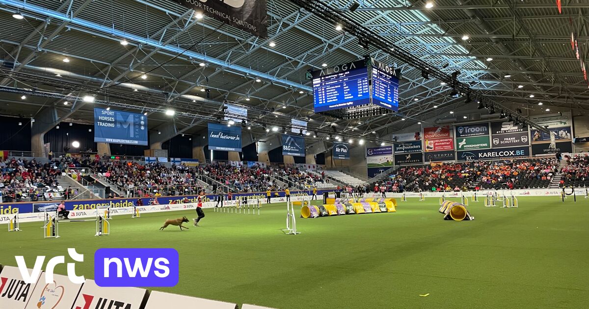 Meer dan 700 honden strijden om wereldtitel Agility in Sentower Park in ...