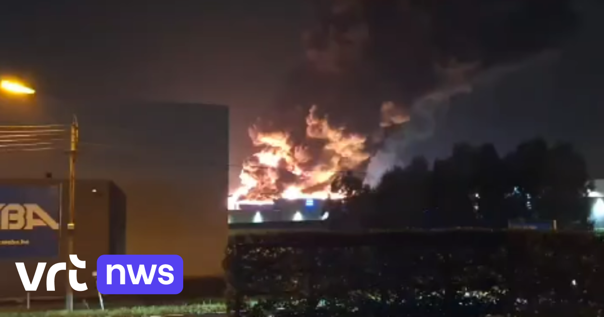 Eierbedrijf volledig verwoest na zware industriebrand in Tongeren | VRT NWS: nieuws