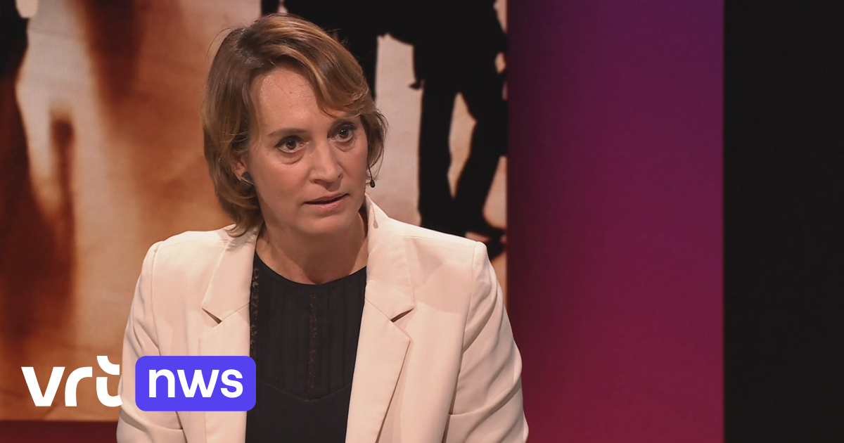 Elisabeth Meuleman vindt eigen partij Groen soms "te radicaal": "We ...