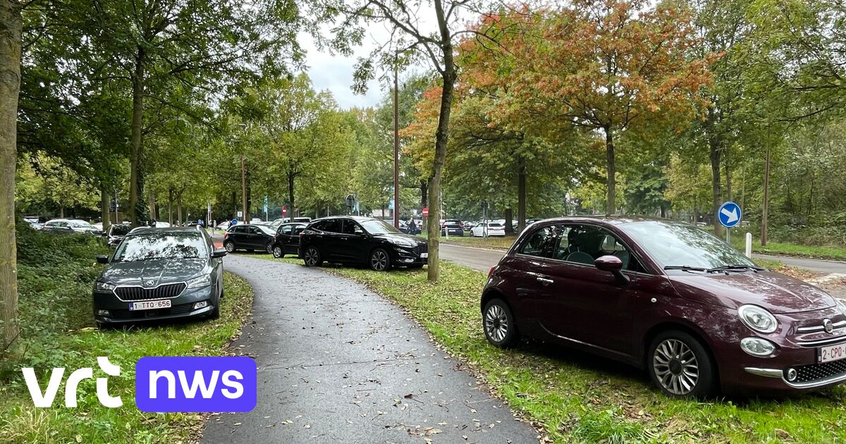 Nieuwe app moet studenten en personeel UHasselt, UCLL en PXL meer op de ...