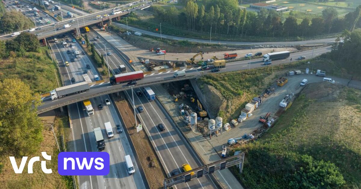 Ook Oosterweel valt ten prooi aan "wet van Flyvbjerg": waarom grote ...