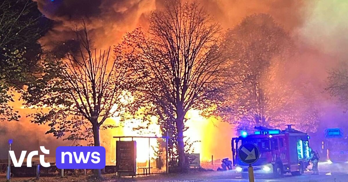 Geen kwaad opzet bij brand in beddenwinkel Brugge | VRT NWS Nieuws