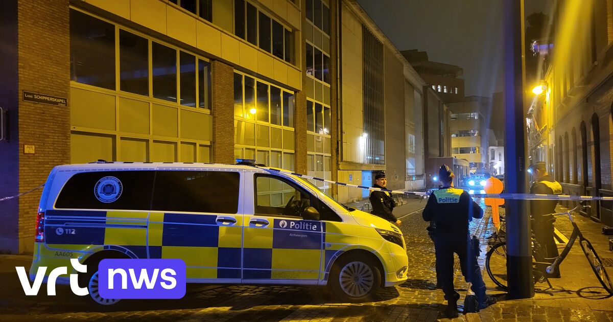 Politie overmeestert gewapende man op de kaaien in Antwerpen | VRT NWS: nieuws