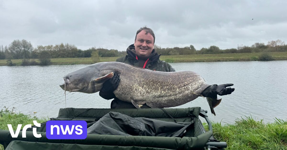 Ganz dicker Fisch am Haken: Steven (28) fängt Riesenwels im Netekanaal ...