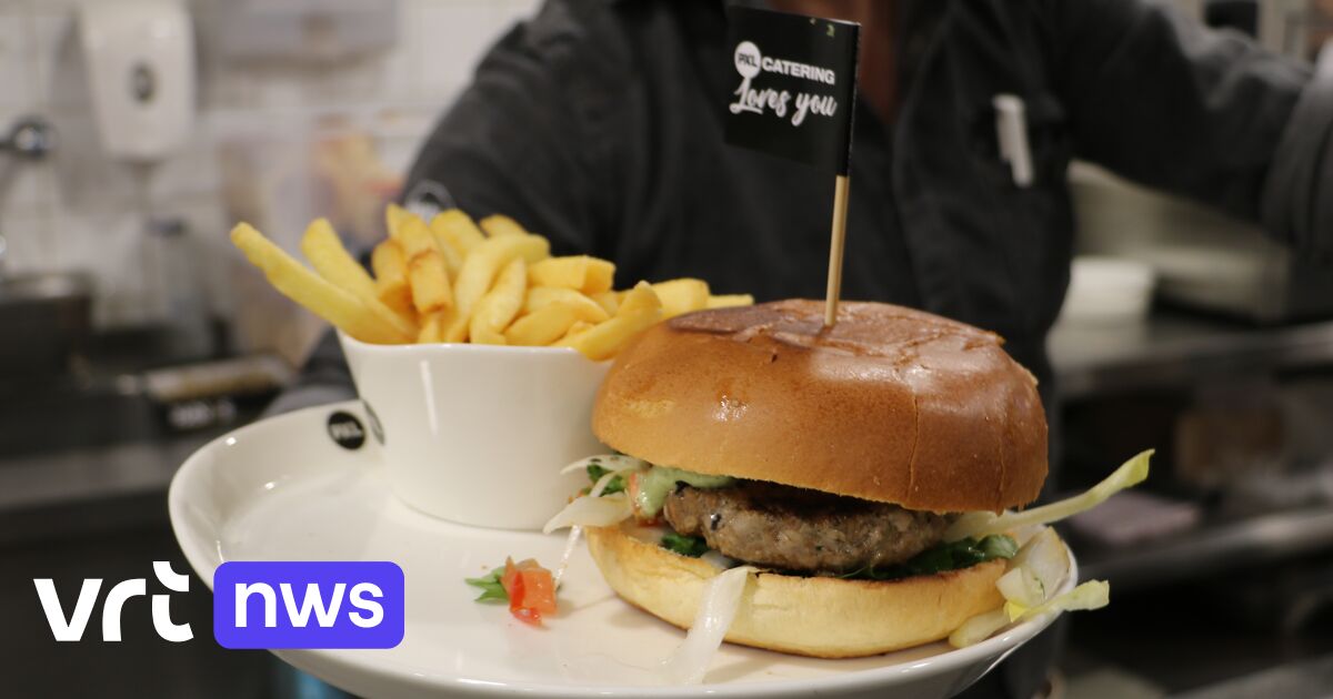 Deels vlees, deels groenten: Foodlab van Syntra-PXL ontwikkelt ...