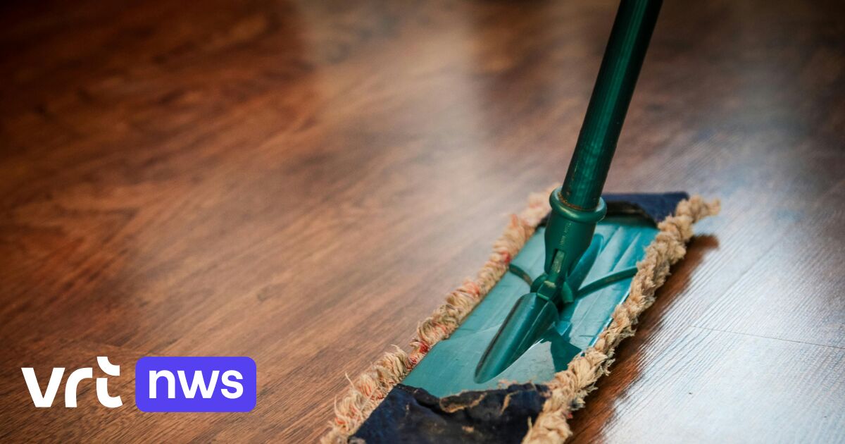 Poetsvrouw uit Diksmuide krijgt celstraf met uitstel voor stelen van ...