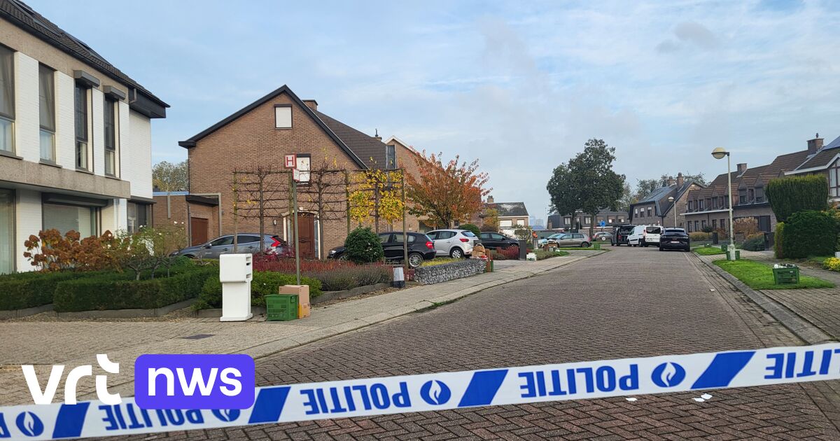 Gewelddadig overlijden in Zwijndrecht: lichaam van vrouw (51) aangetroffen op oprit van woning ...