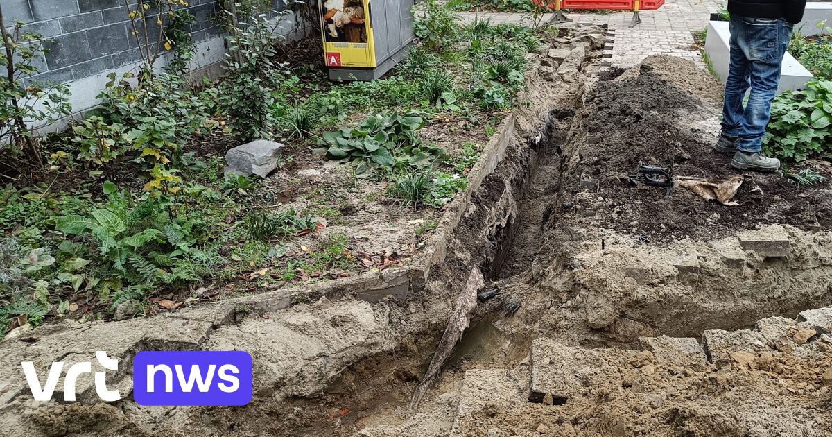 Onderaannemer van Fluvius vernielt buurtparkje in Borgerhout bij ...