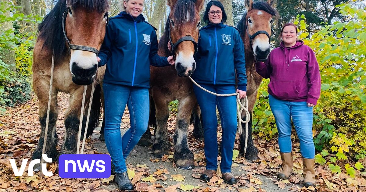 Paardenlichtstoet Keerbergen zet vrouwen in de kijker: "Tonen dat we ...